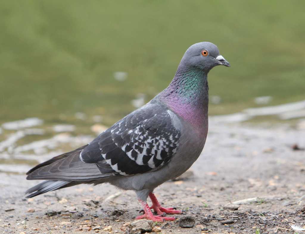 Personal Website | Timothy Newman